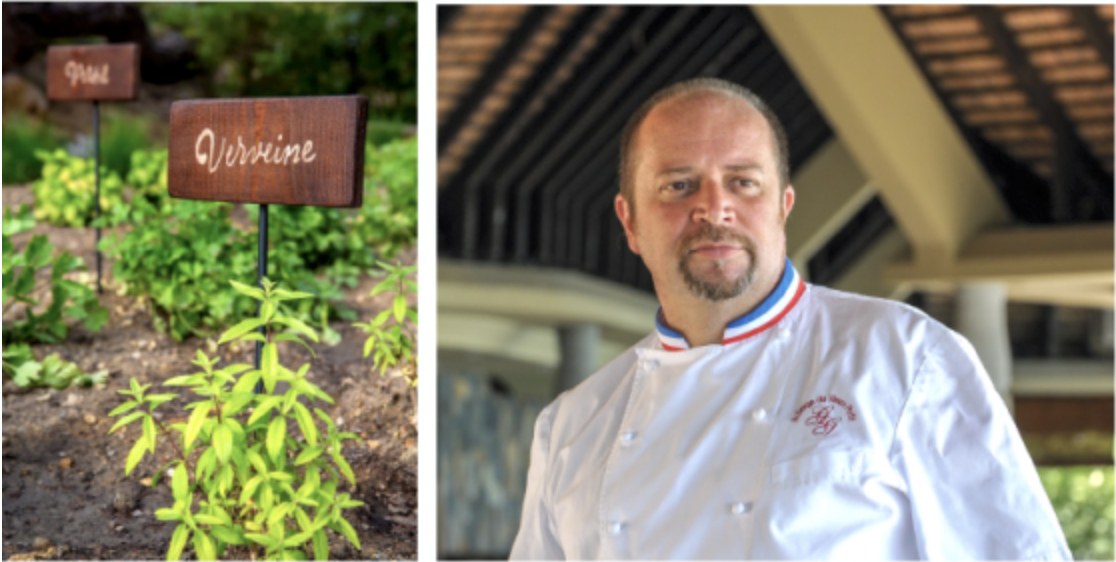 Nikki Beach Saint-Tropez - Grands chefs - Goujon, Marcon, Piège