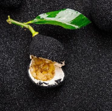 Le citron noir - Loomi - Nouvelle émotion culinaire - Citrons noirs séchés