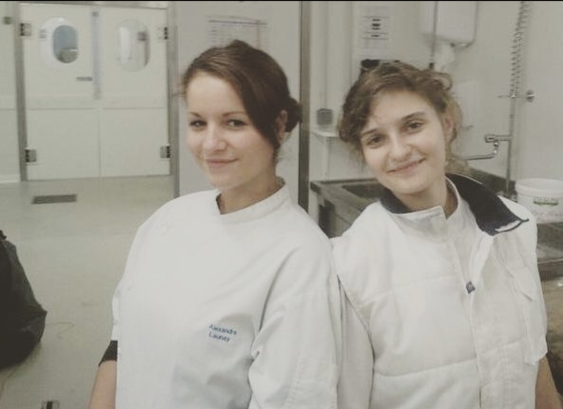 Les pâtissiers répondent au challenge lancé par le chef Cédric Grolet ...