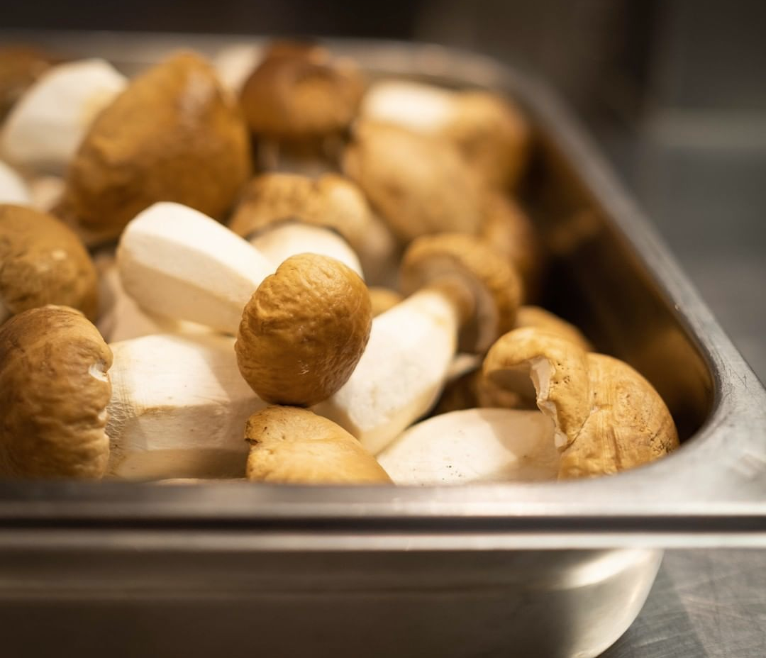 Des Cèpes, des Chefs ... et le plaisir de les partager - Food & Sens