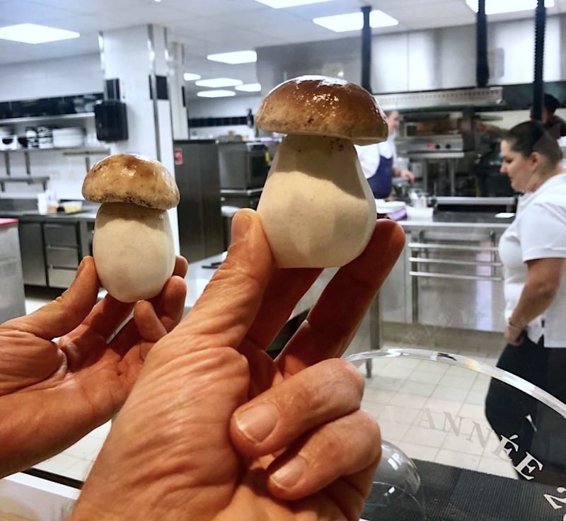 Des Cèpes, des Chefs ... et le plaisir de les partager - Food & Sens