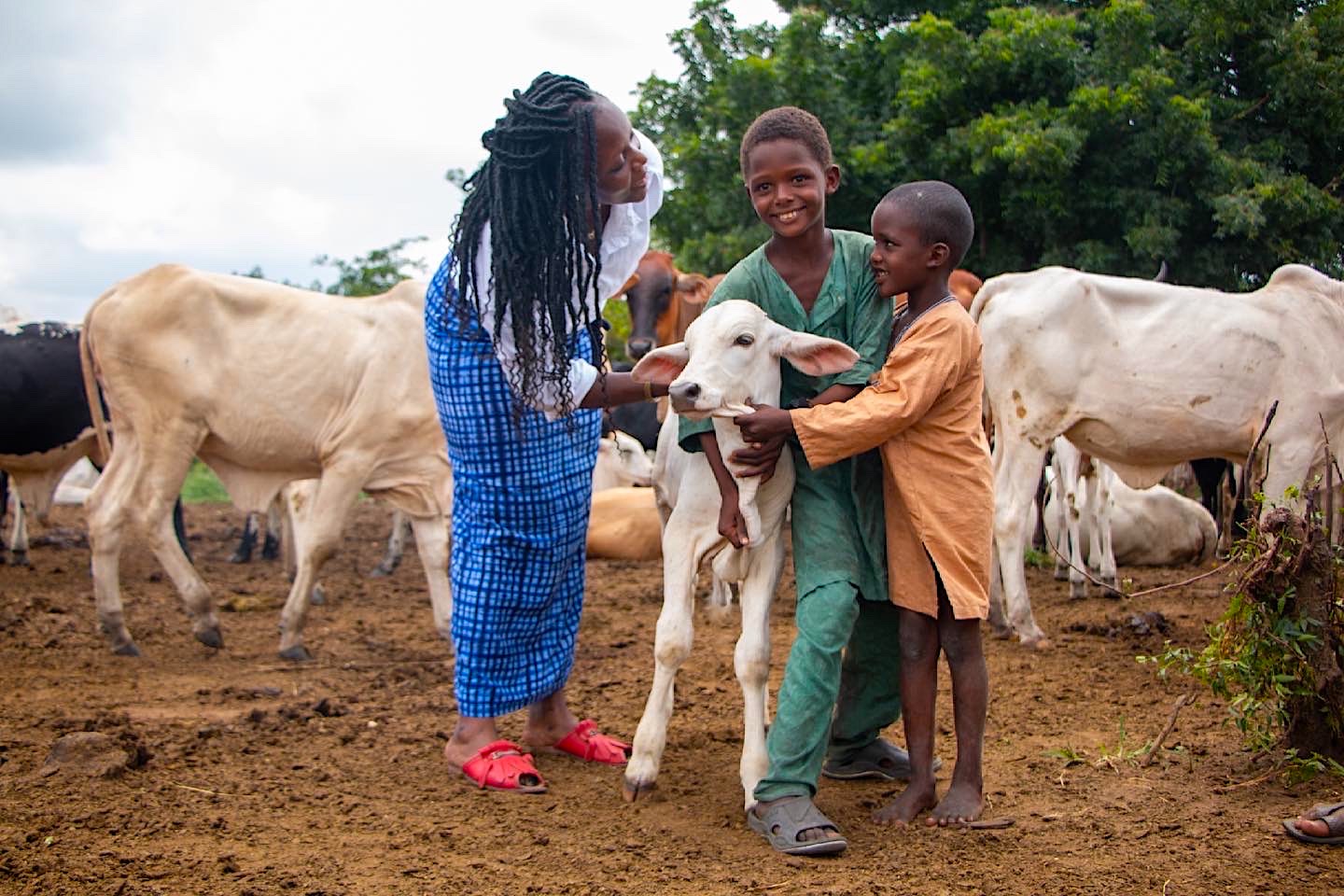 La cuisine nomade et durable de la chef Fatmata Binta - Food & Sens