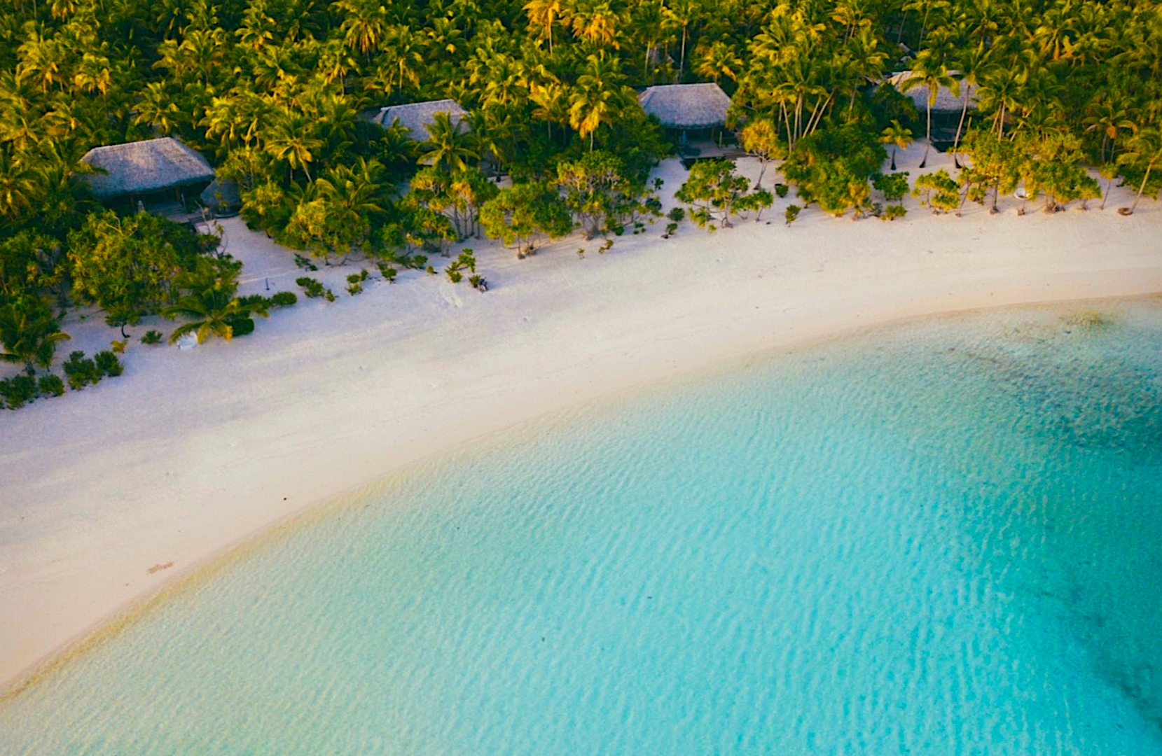 Le mythique hôtel The Brando, niché au cœur de l’atoll de Tetiaroa ...