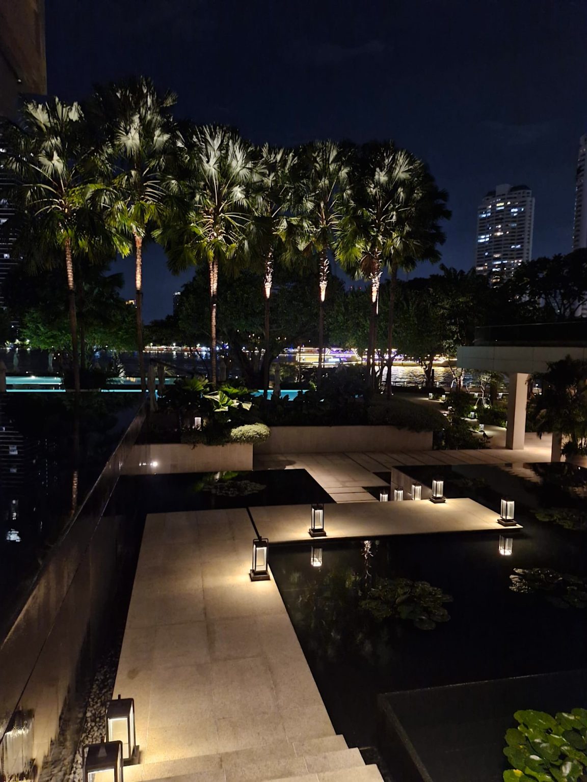 "Palmier" par le chef Guillaume Galliot : la nouvelle brasserie ...